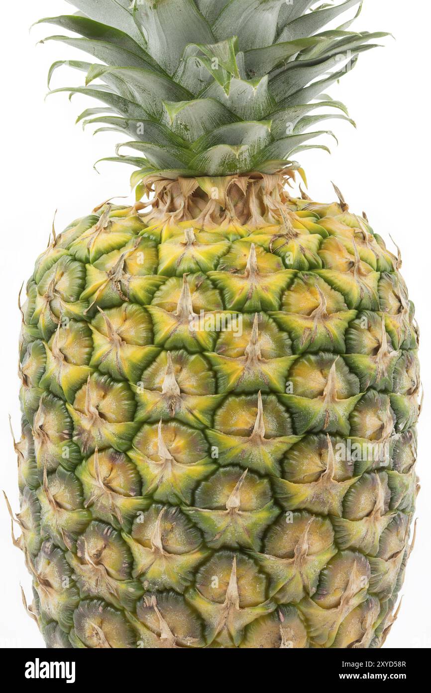 Whole pineapple on a white background Stock Photo - Alamy