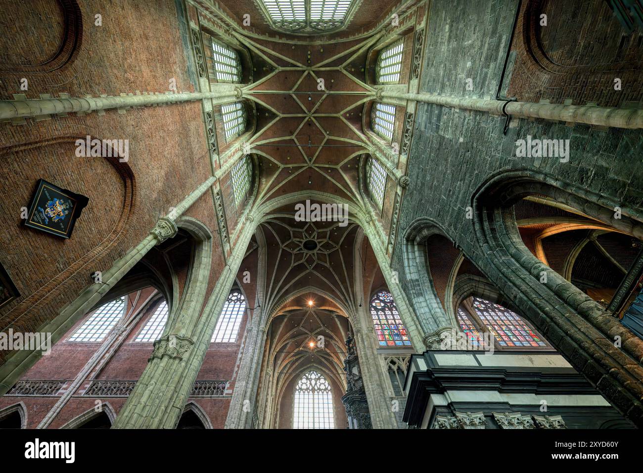 10th century Gothic St. Bavo Cathedral, Vaulted ceiling and columns of ...