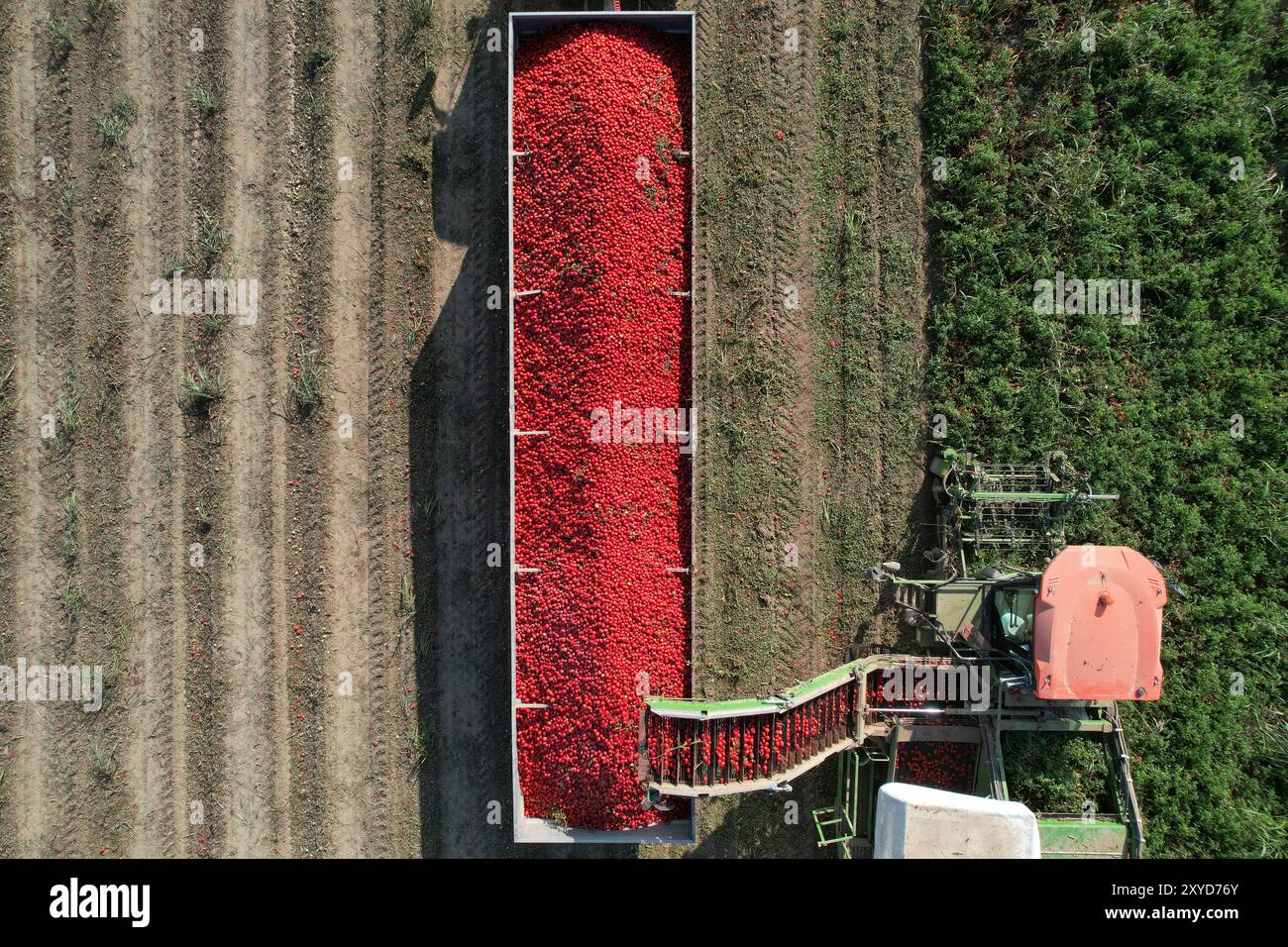 Agriculture combine harvester worker pov hi-res stock photography and ...