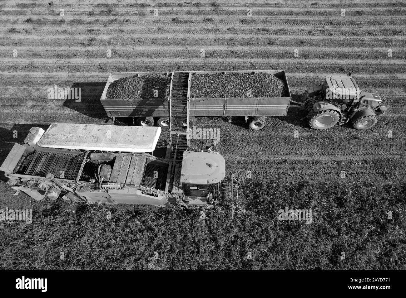 Aerial top view rural plain Black and White Stock Photos & Images - Alamy