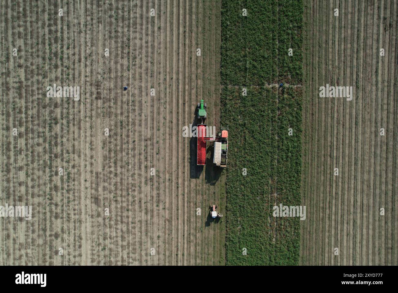 Agriculture combine harvester worker pov hi-res stock photography and ...