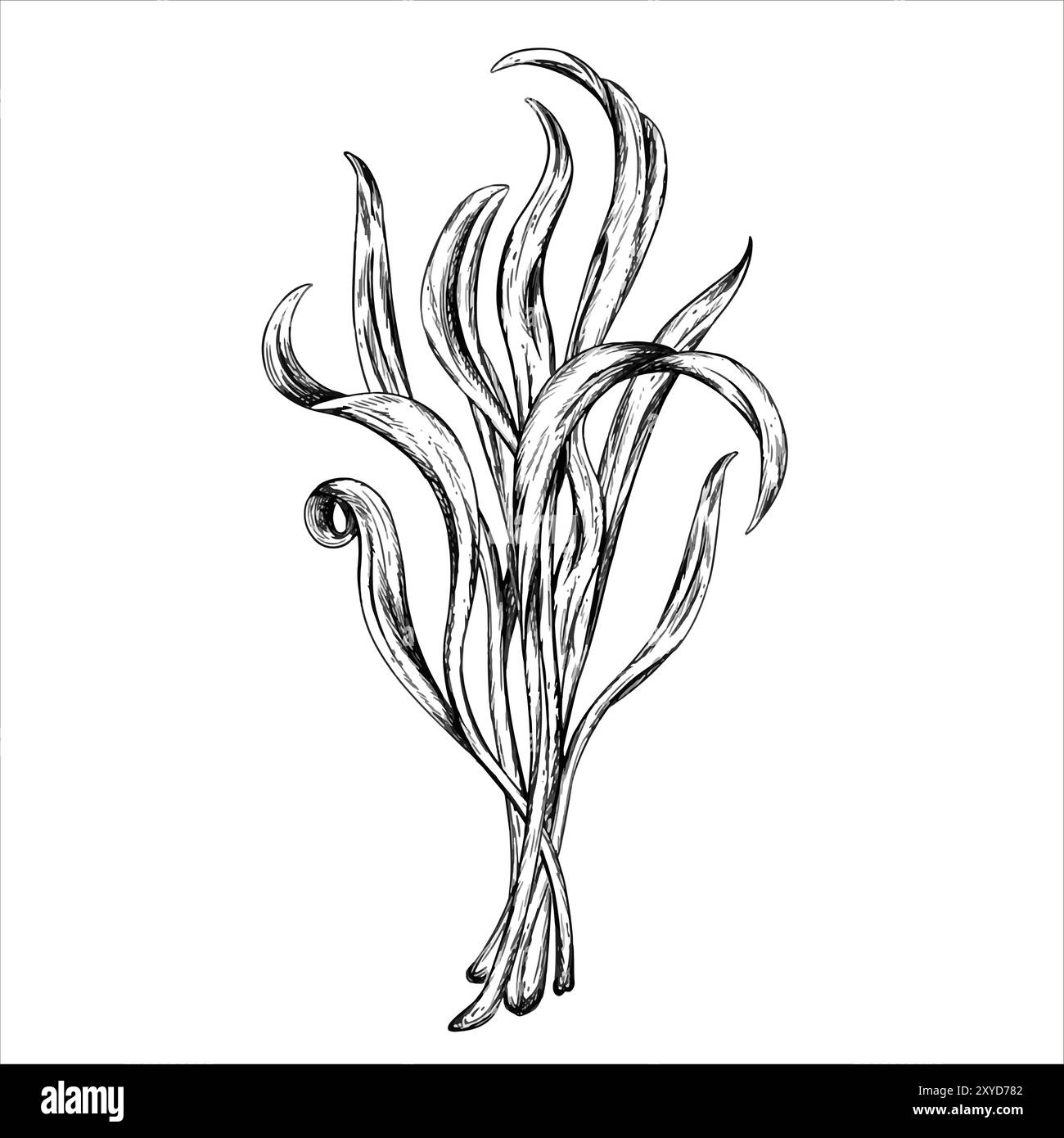 Seed sprouting logo Stock Vector Images - Alamy