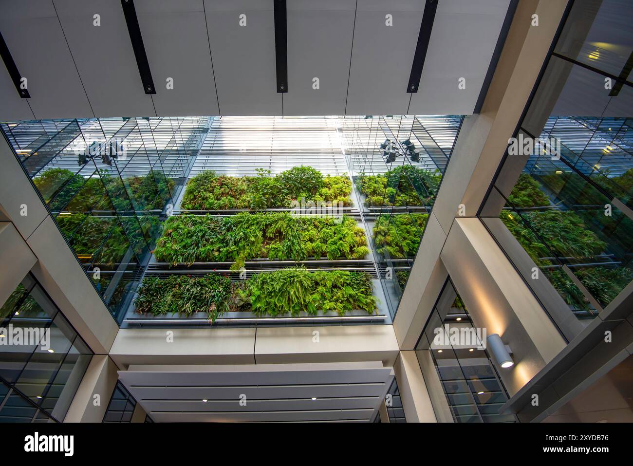 A large vertical garden near Takutai Square in Auckland, New Zealand ...