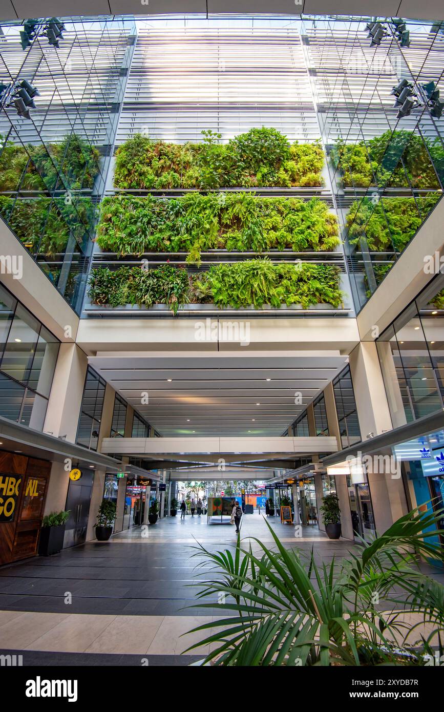 Large vertical gardens in auckland new zealand hi-res stock photography ...