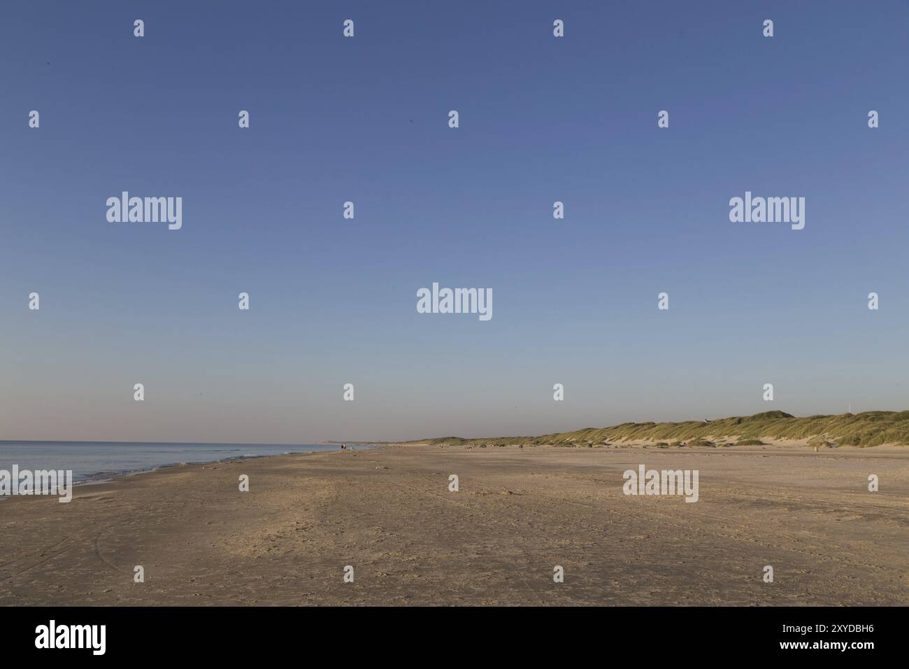 Sand beach close to Blokhus in Jutland, Denmark, Europe Stock Photo - Alamy