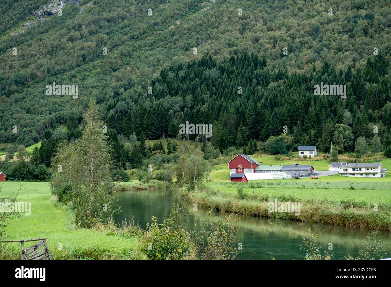 the beautiful landscapes of the Norwegian fjords Stock Photo - Alamy