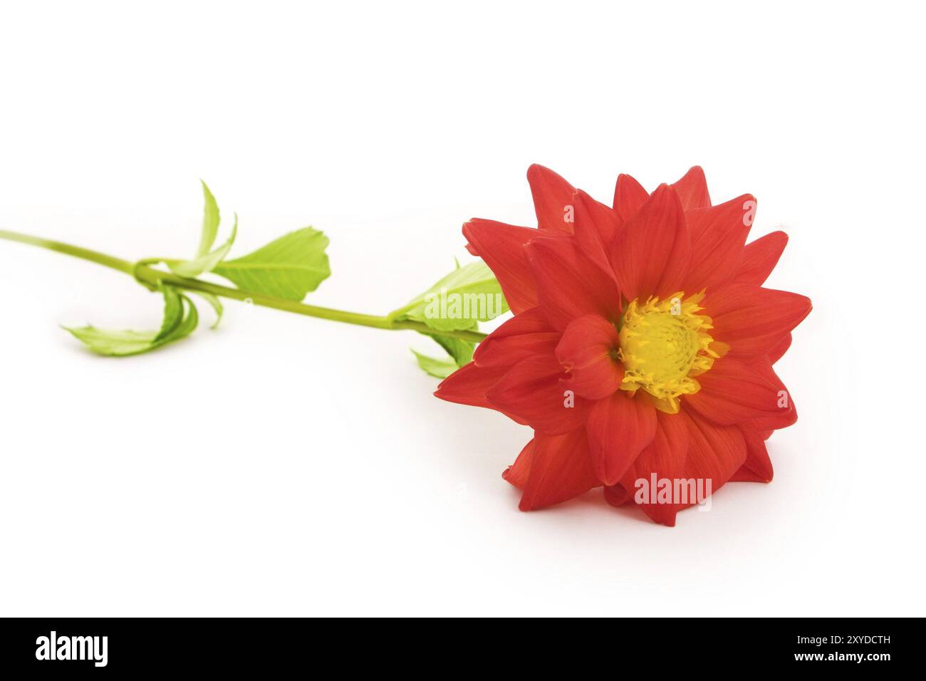 Red field Cut Out Stock Images & Pictures - Alamy