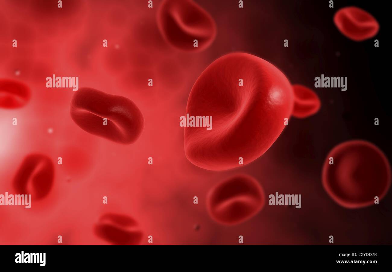 Detailed microscopic sections hi-res stock photography and images - Alamy