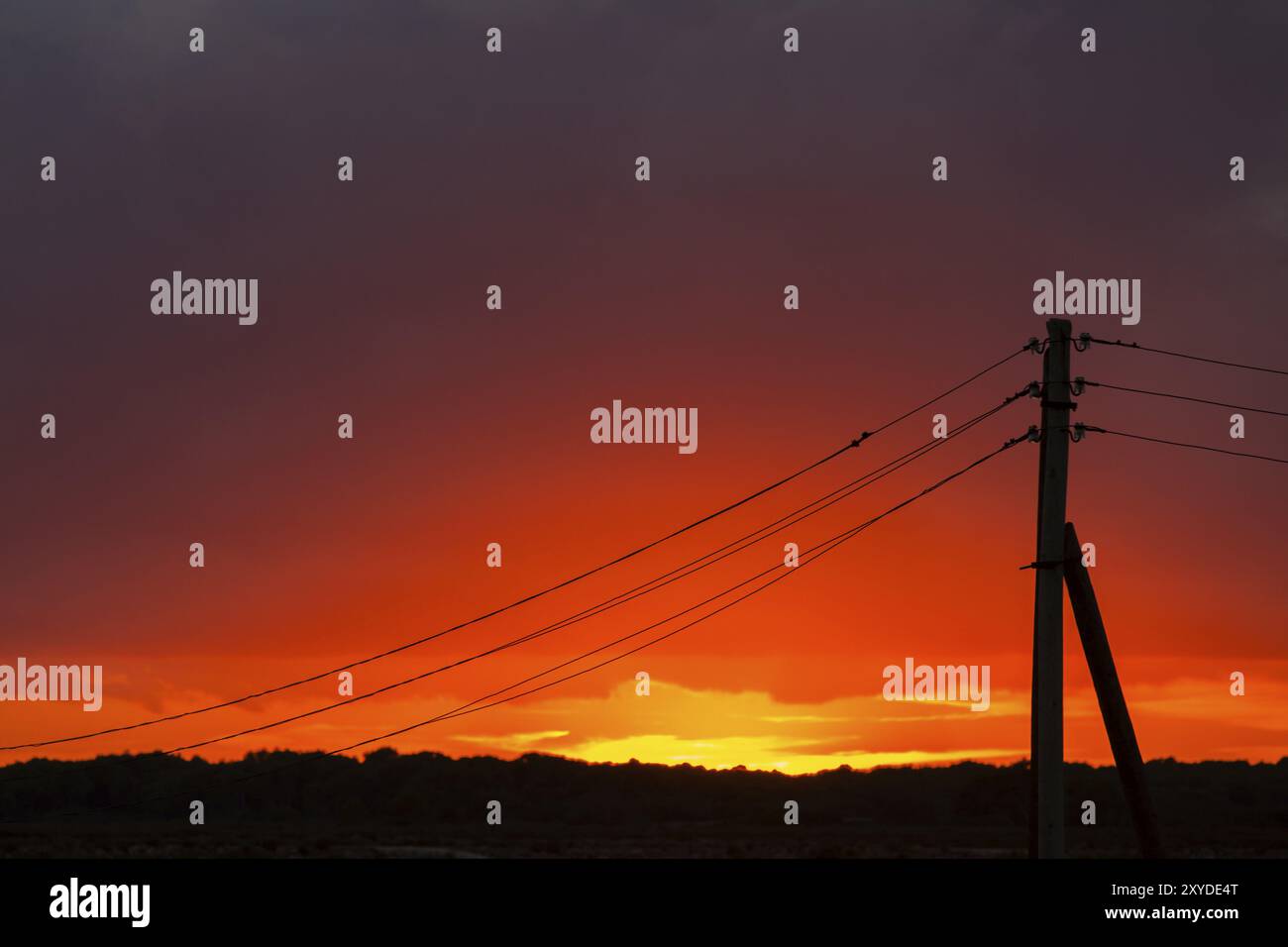 Telegraph line at sunset Stock Photo - Alamy