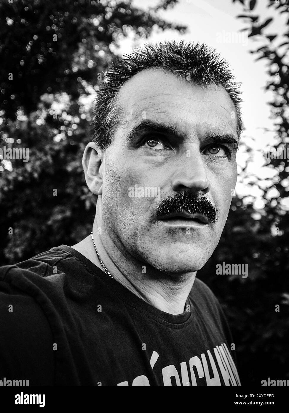 Black-haired man with moustache looks slightly critically over the ...