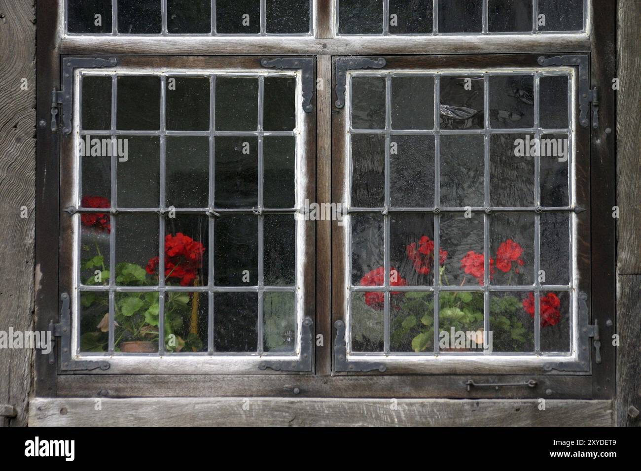 Bull's-eye window with geraniums Stock Photo - Alamy
