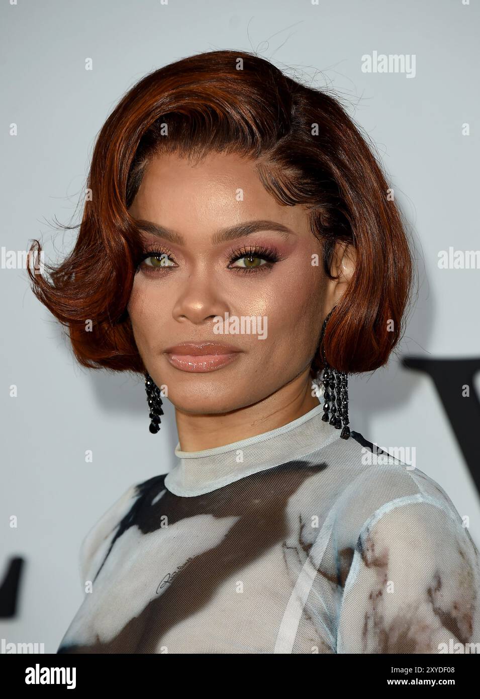 Hollywood, USA. 28th Aug, 2024. Andra Day arriving to Netflix's “The ...
