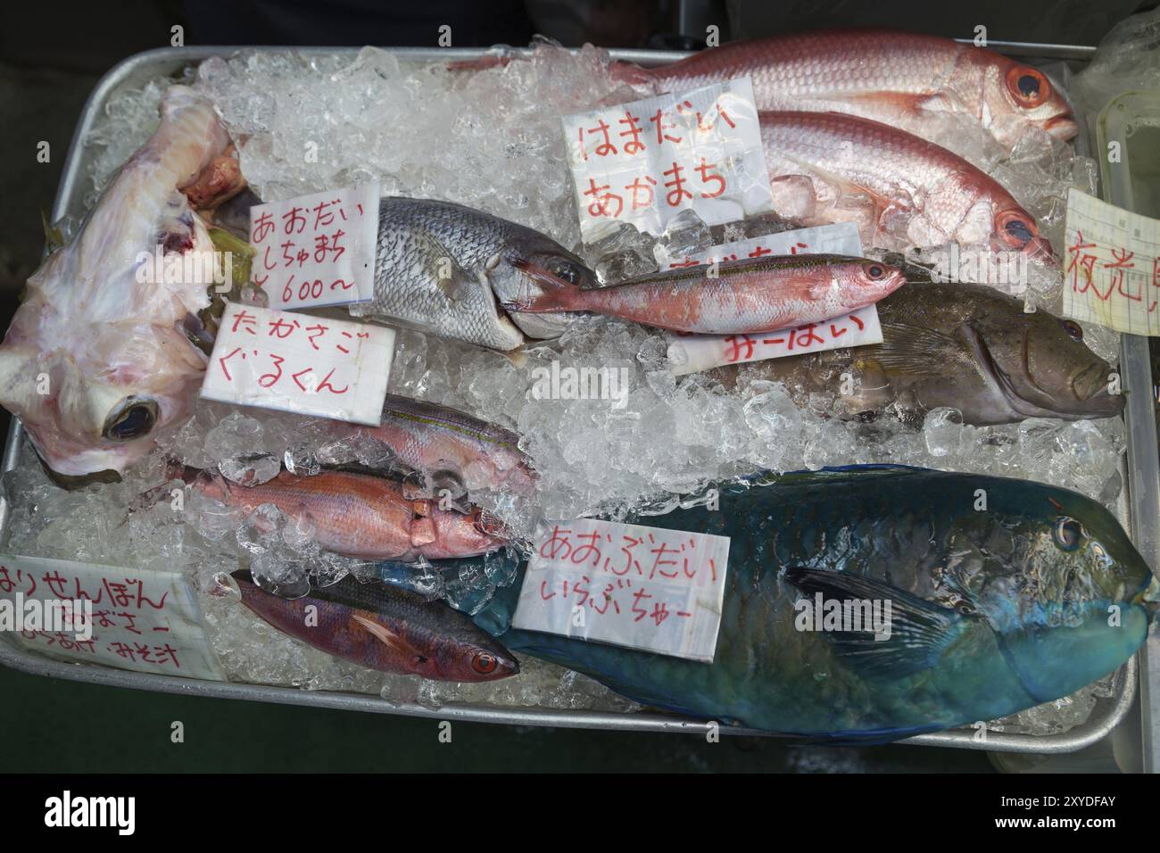 Different fish on ice for sale on the market in Okinawa, Japan, Asia ...