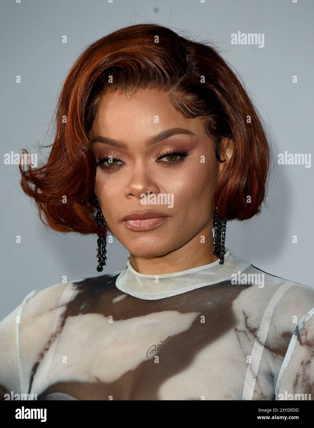 Hollywood, USA. 28th Aug, 2024. Andra Day arriving to Netflix's “The ...