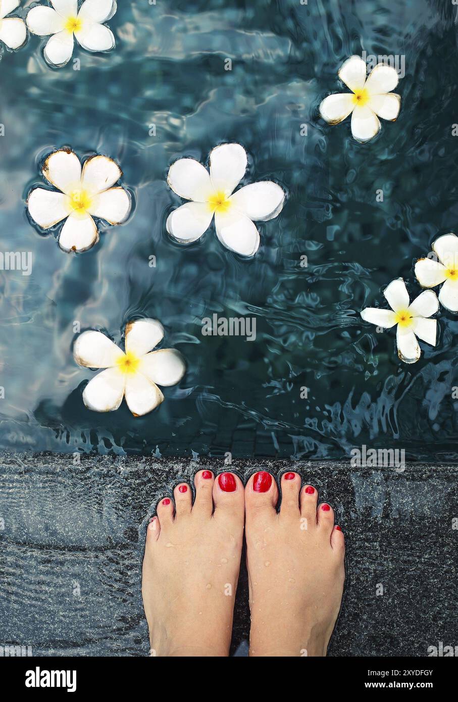 Beautiful female feet in swimming pool with white frangipani flowers ...