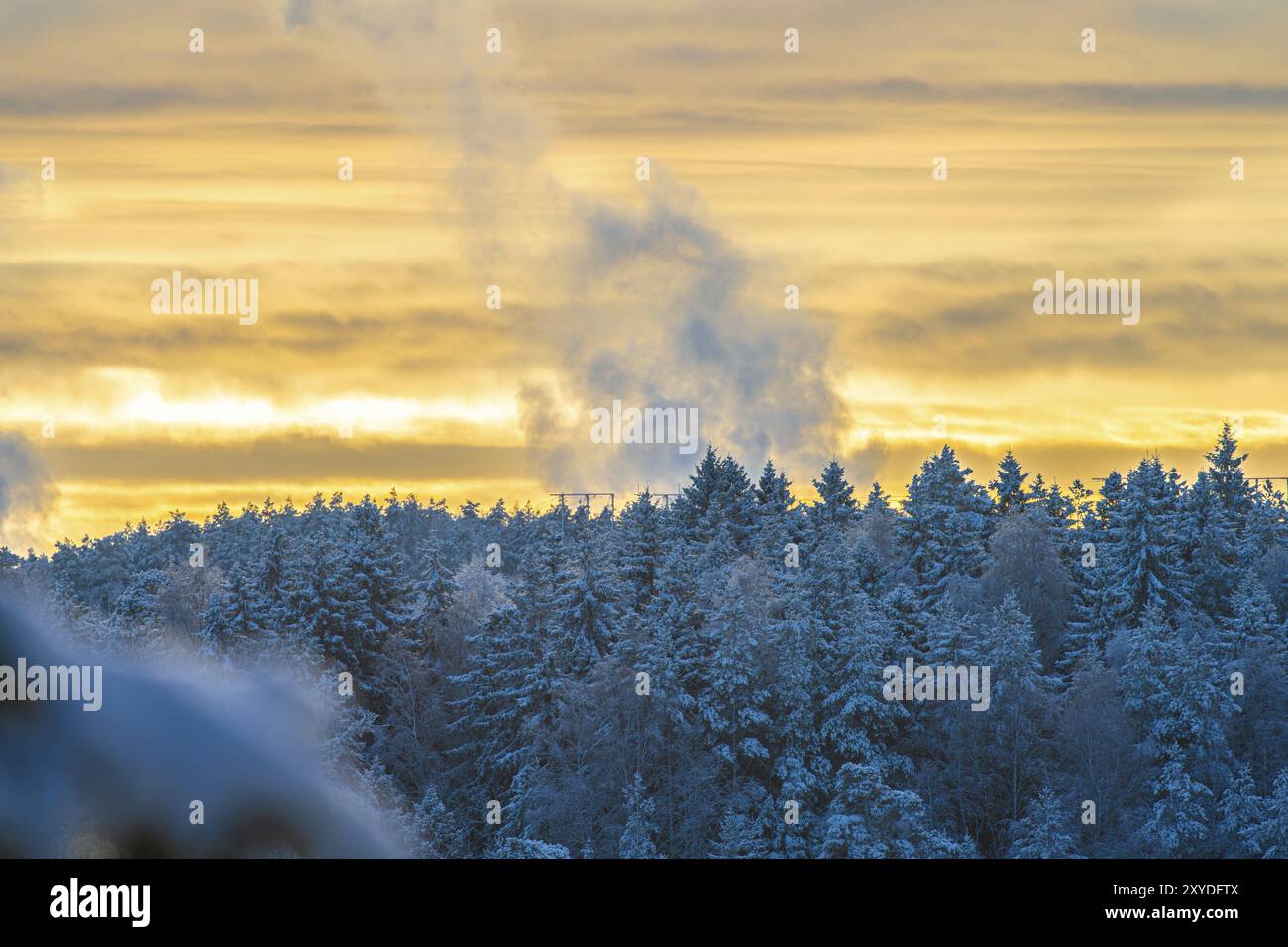 Emerge from behind hi-res stock photography and images - Alamy