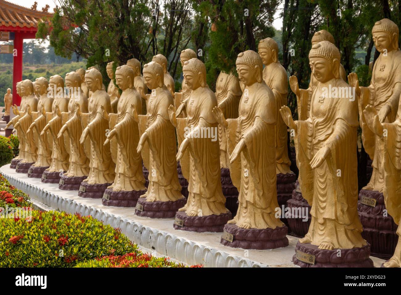 Buddha land store