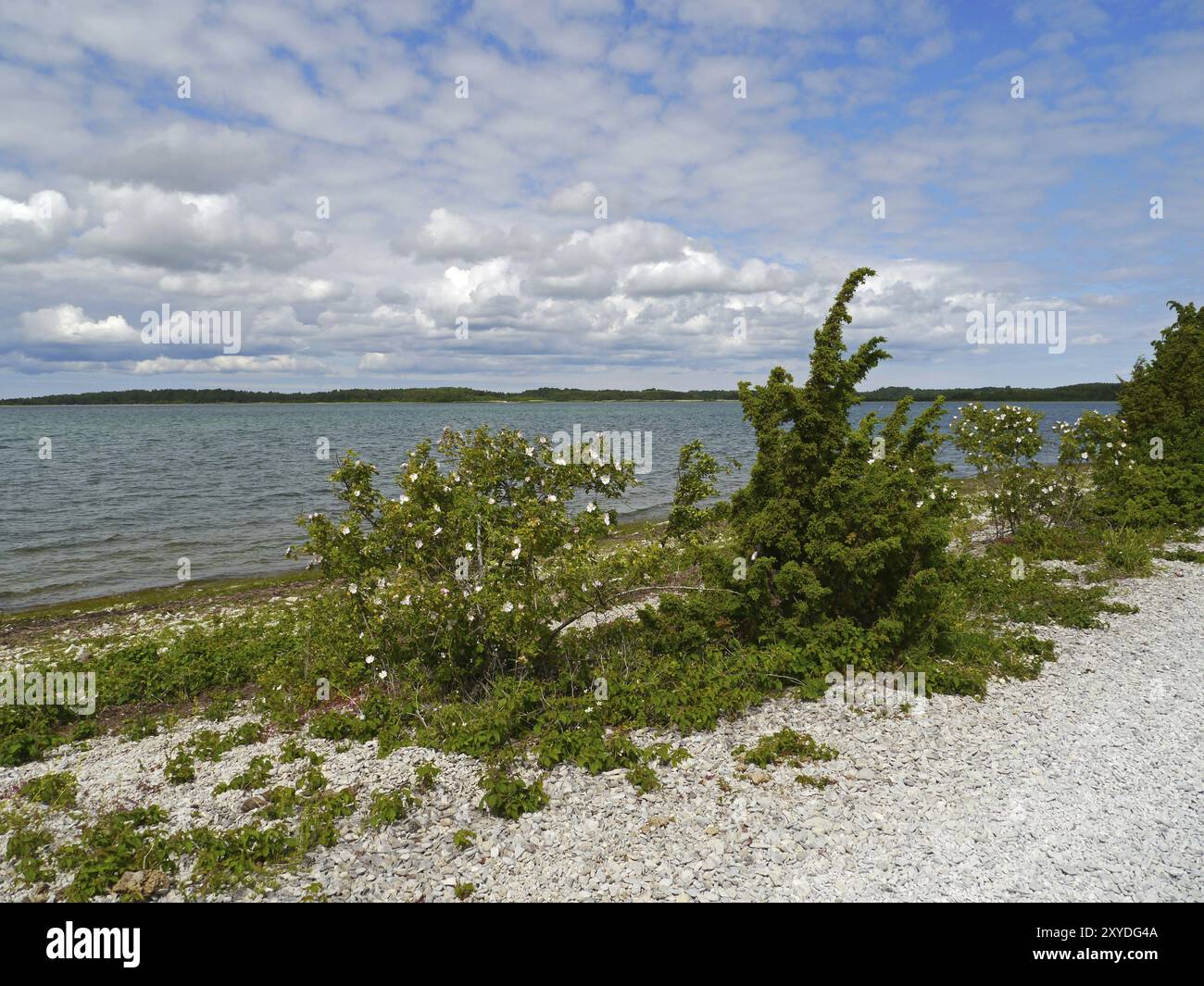 Kassari (German: Kassargen) is an island in the Baltic Sea. It is ...