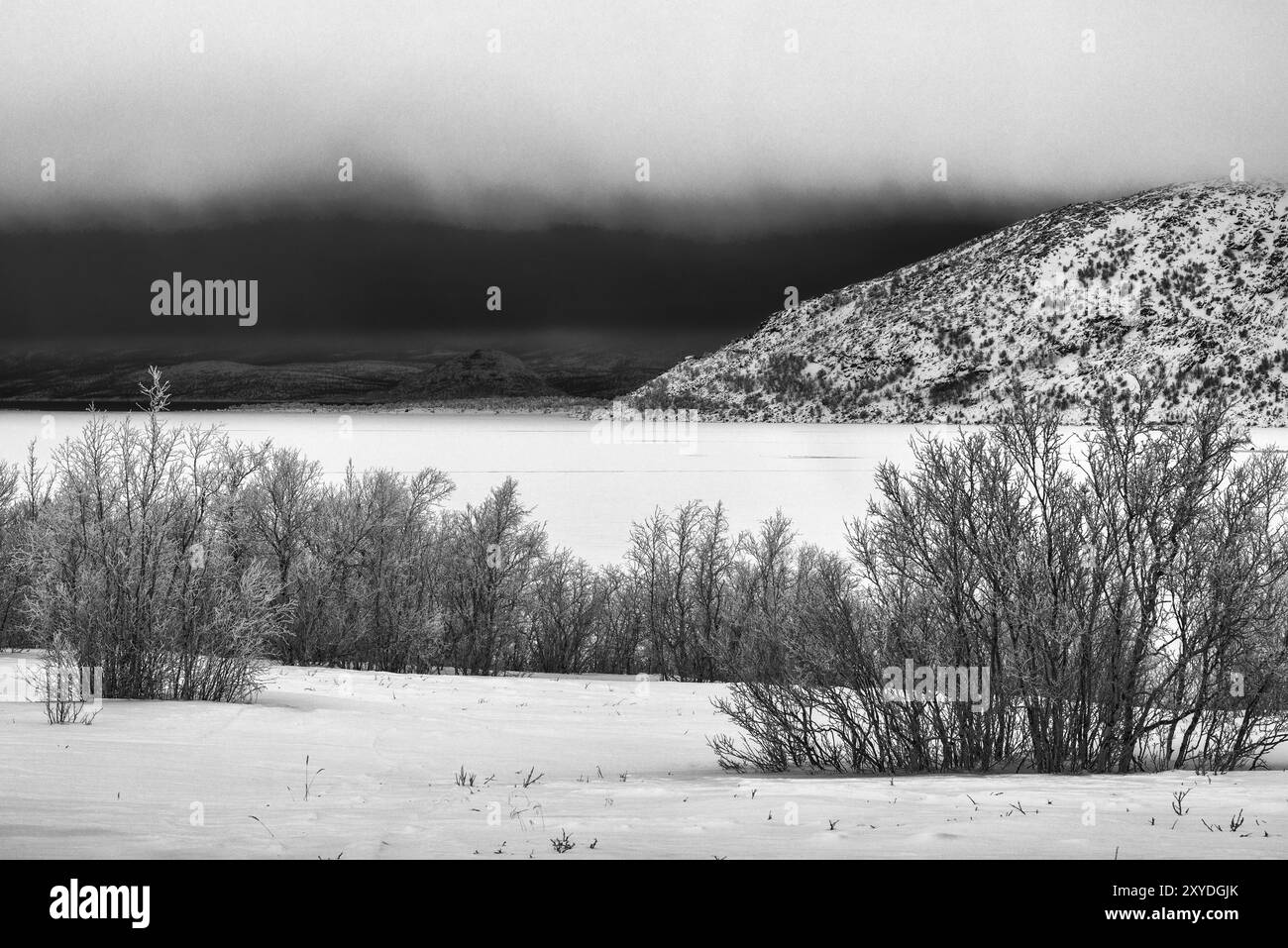 Bad weather over the frozen lake Tornetraesk, Norrbotten, Lapland ...