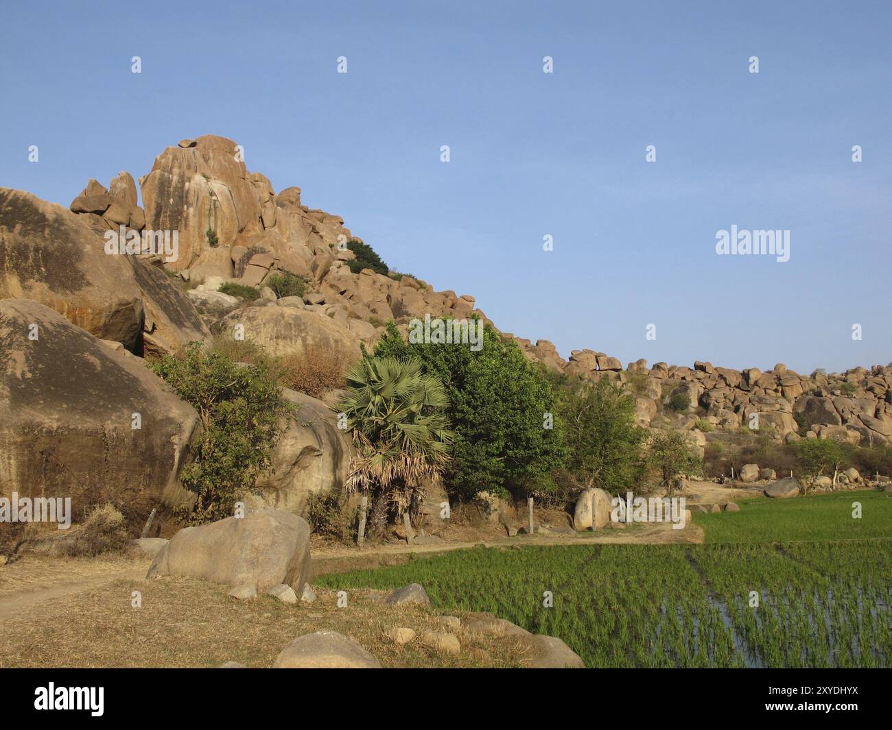 Indian fields historical hi-res stock photography and images - Alamy