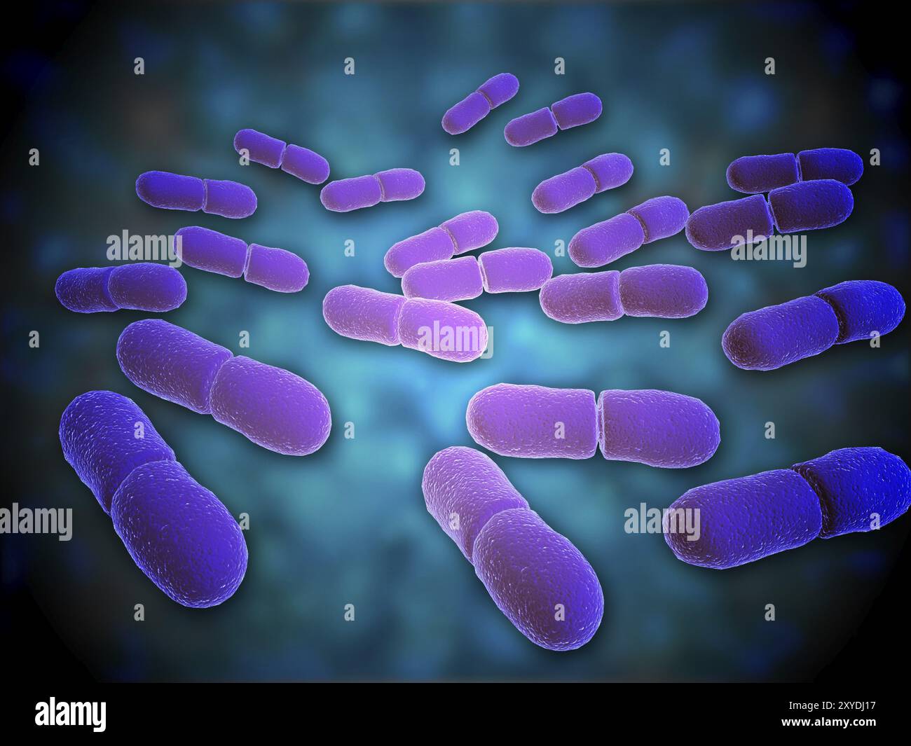 Listeria infections hi-res stock photography and images - Alamy