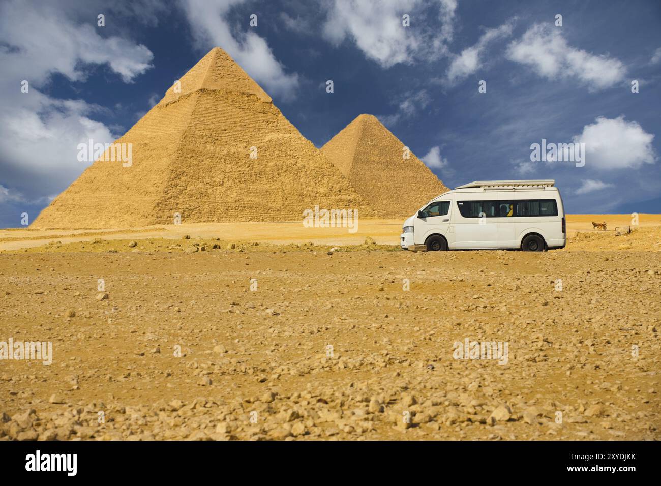 A blank white van transports tourists in front of the pyramids of Giza ...