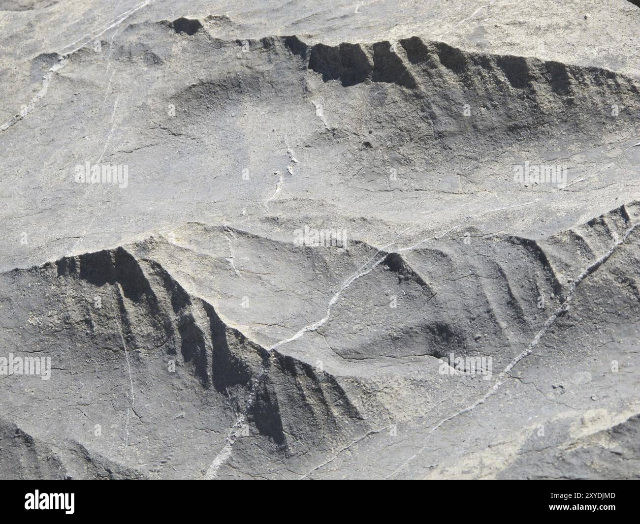 Karst, rock formed by a glacier Stock Photo - Alamy