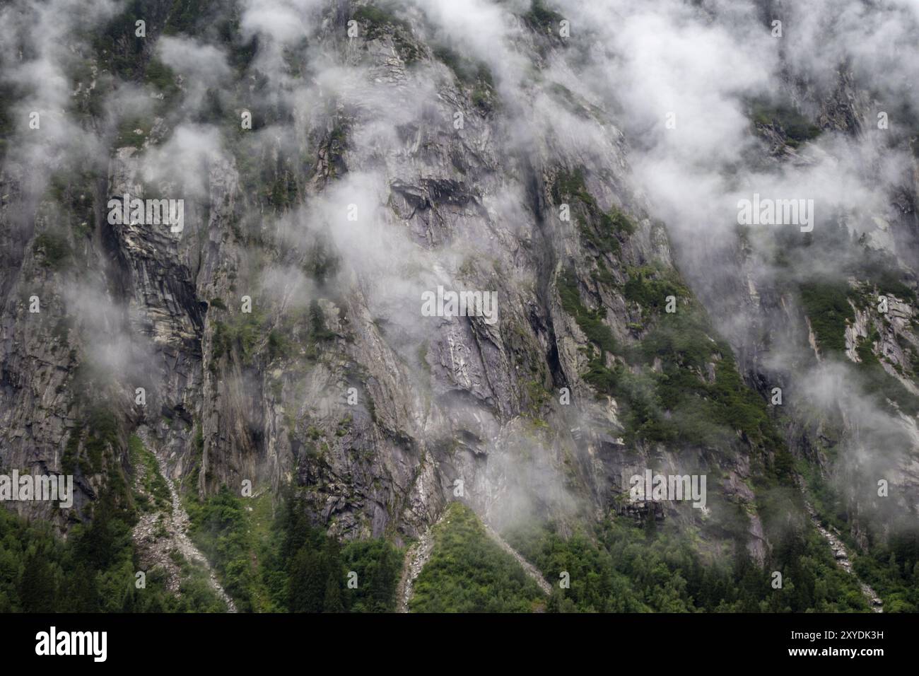 Fog rising on a mountain in the alps Stock Photo - Alamy