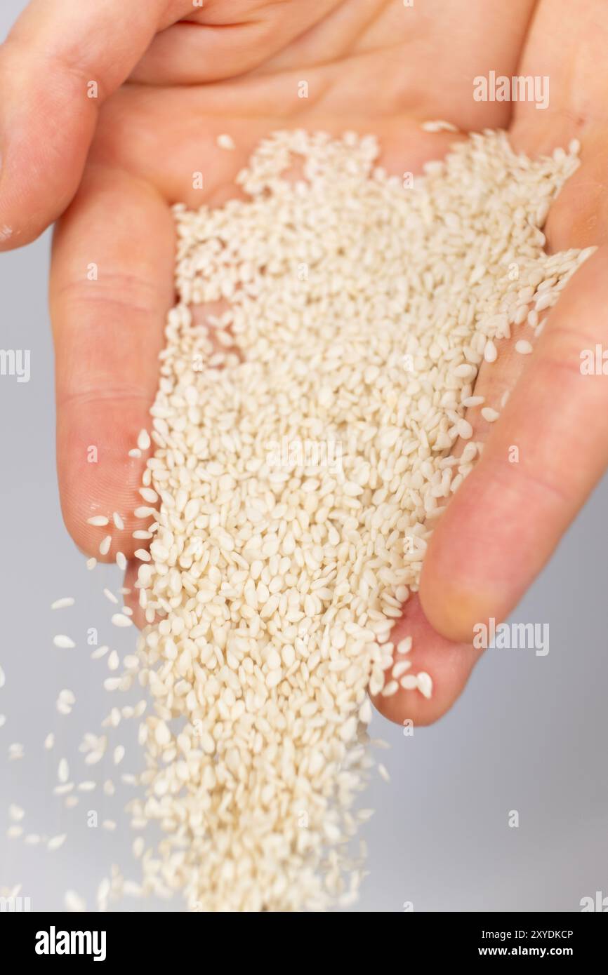 White peeled sesame seeds pouring hi-res stock photography and images ...