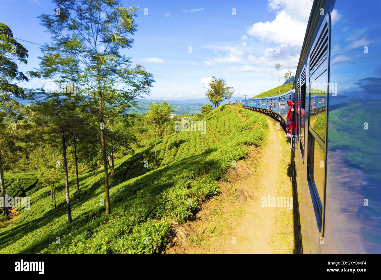 Tea plantation view and neat green tea plants seen from side exterior ...