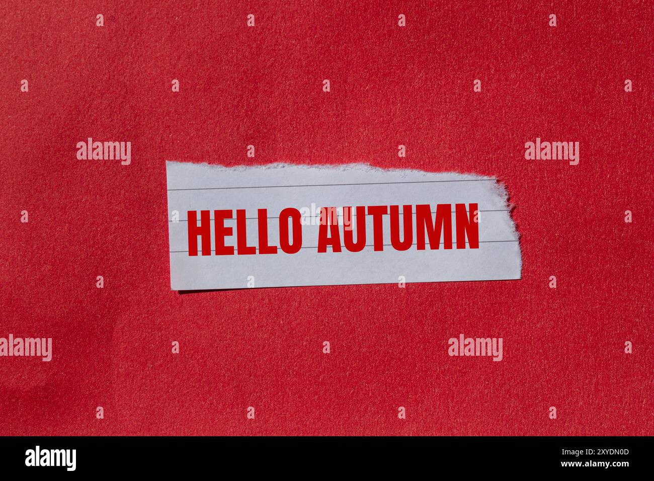 Hello autumn message written on ripped torn paper piece with red background. Conceptual hello ...