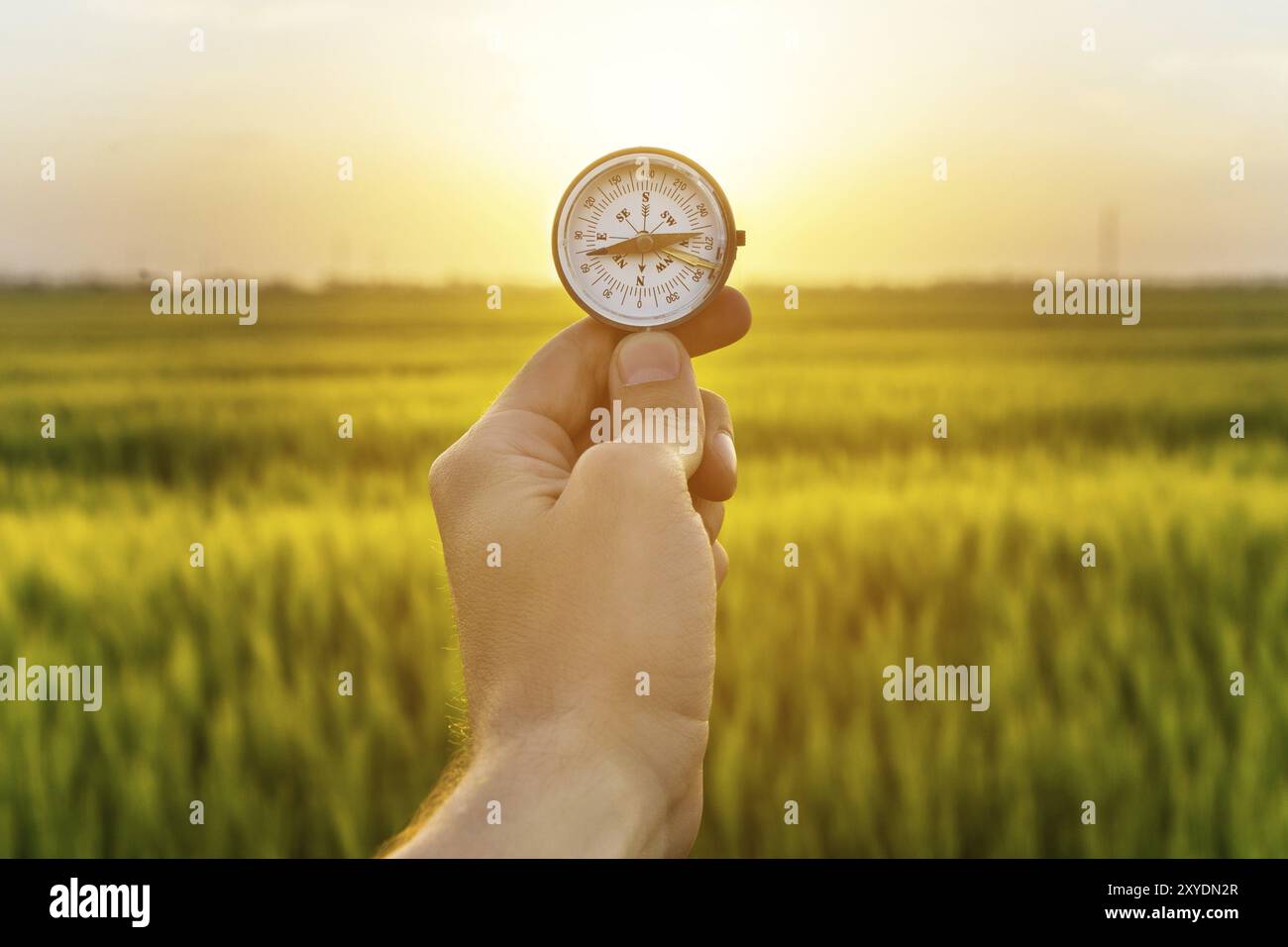 Hand holding compass and rice field sunset Stock Photo - Alamy