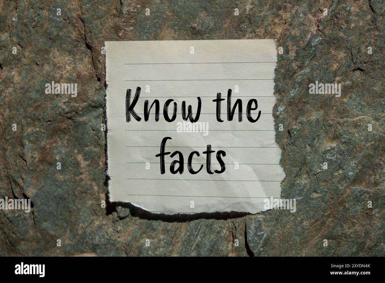 Know the facts message written on ripped torn paper piece with stone ...