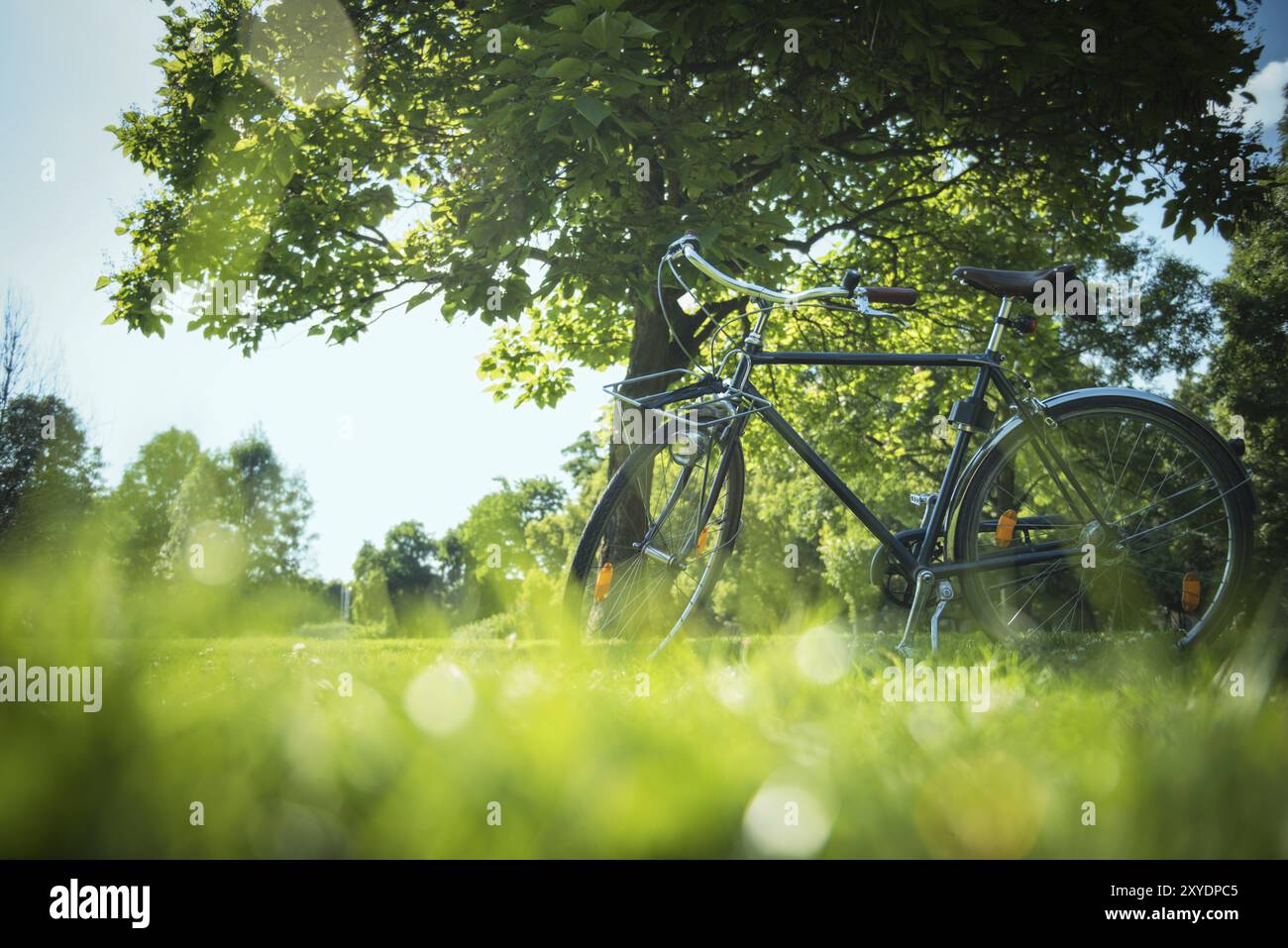 Cyclist views nature hi-res stock photography and images - Alamy