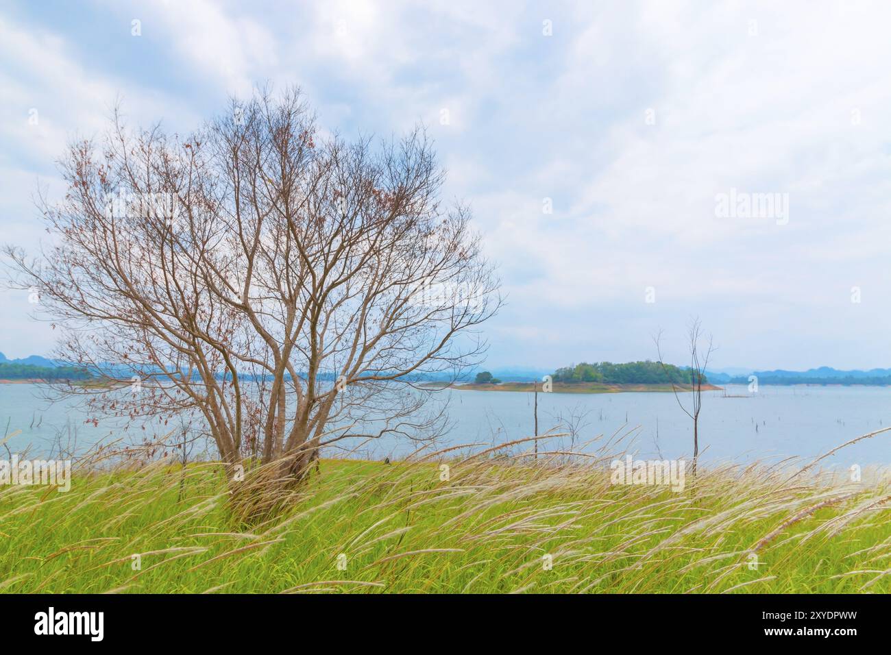 Withered landscapes hi-res stock photography and images - Alamy
