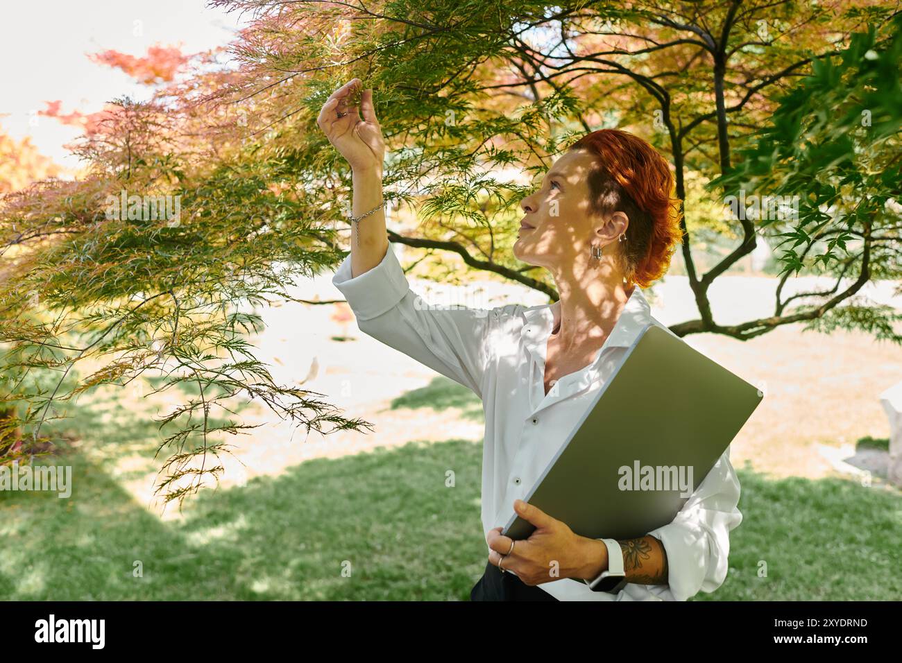 The shadow of the teacher hi-res stock photography and images - Alamy