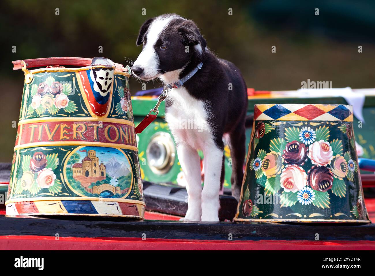 Barge anything animal hi-res stock photography and images - Alamy