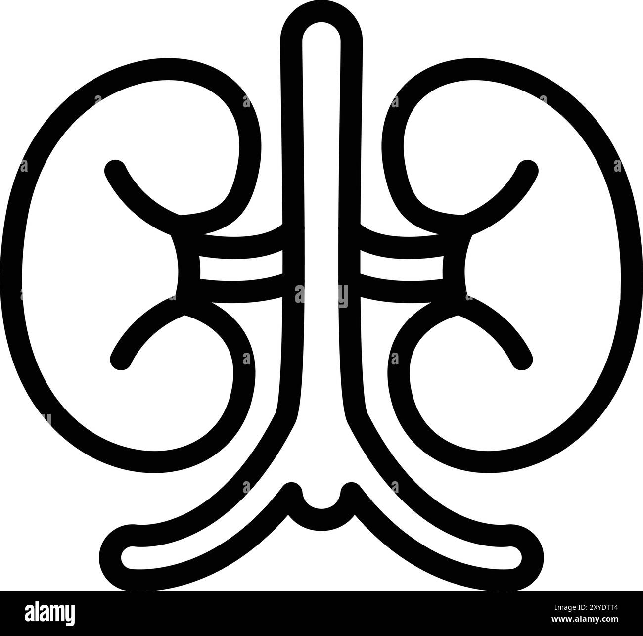 Kidney design hi-res stock photography and images - Alamy