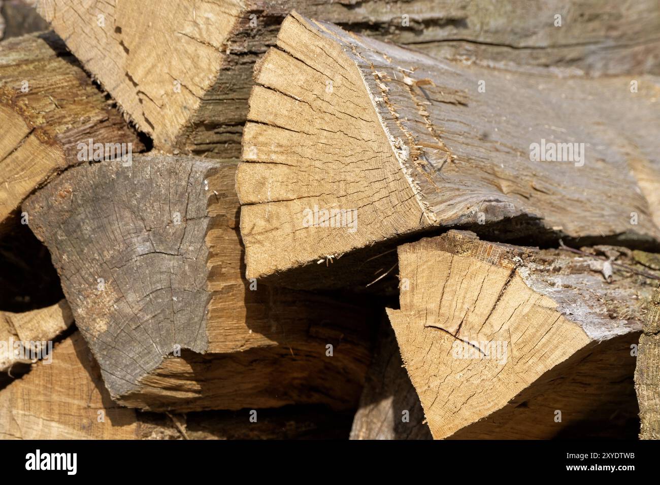 Log timber burning on firewood hi-res stock photography and images - Alamy