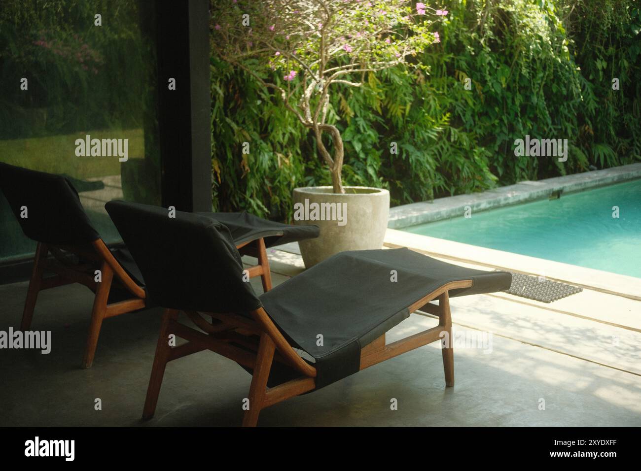 Lounger pool, vertical garden, and swimming pool in a modern tropical ...