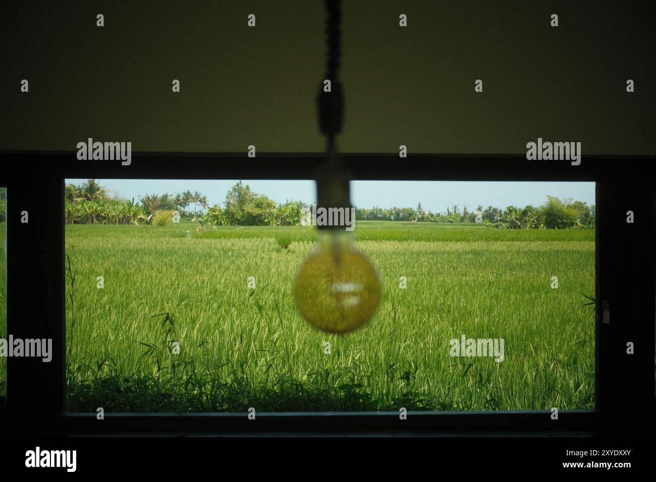 A light bulb and a view of the rice fields from a panoramic window ...