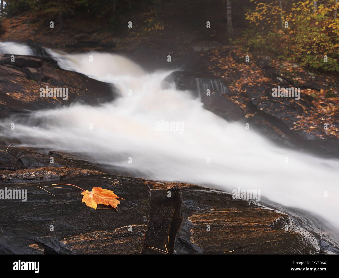 Beautiful cascade waterfall autumn nature scenery. Stubbs Falls ...