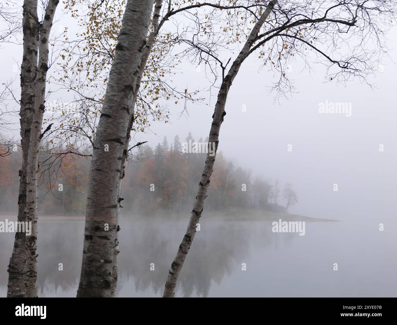 Early morning fall nature scenery of The Arrowhead Lake. Arrowhead provincial park, Ontario ...