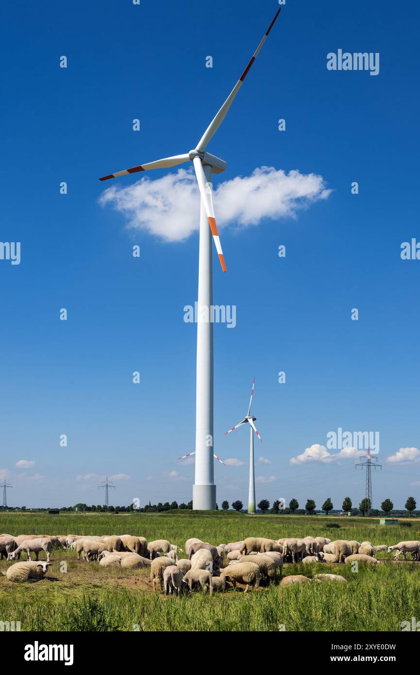 One many wind turbines hi-res stock photography and images - Alamy