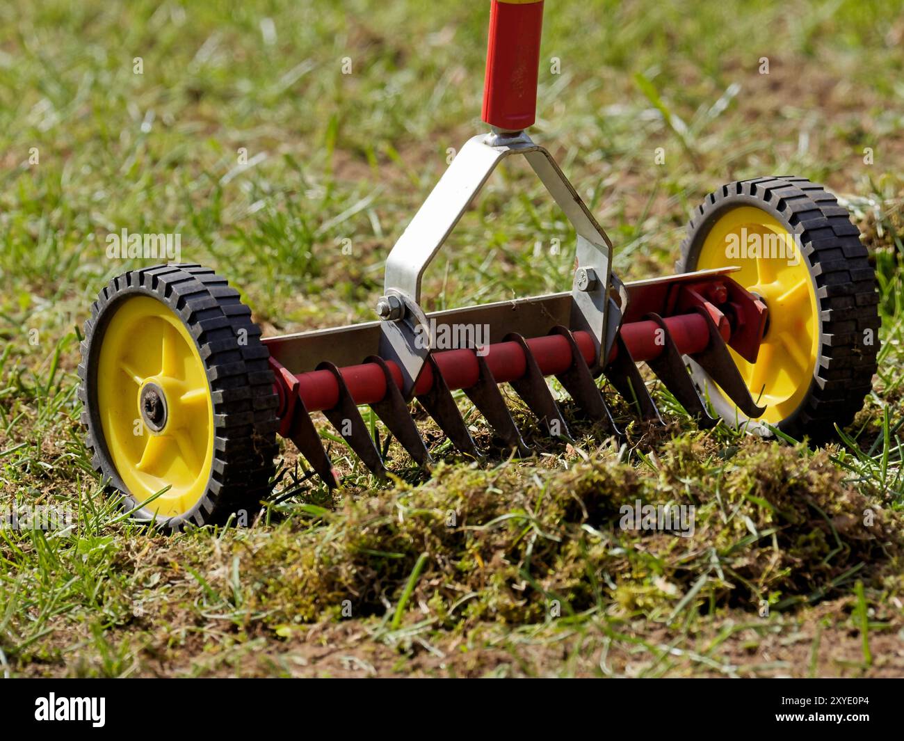 Lawn scarifier hi-res stock photography and images - Alamy