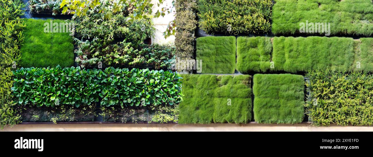 Wall and facade planting Stock Photo - Alamy