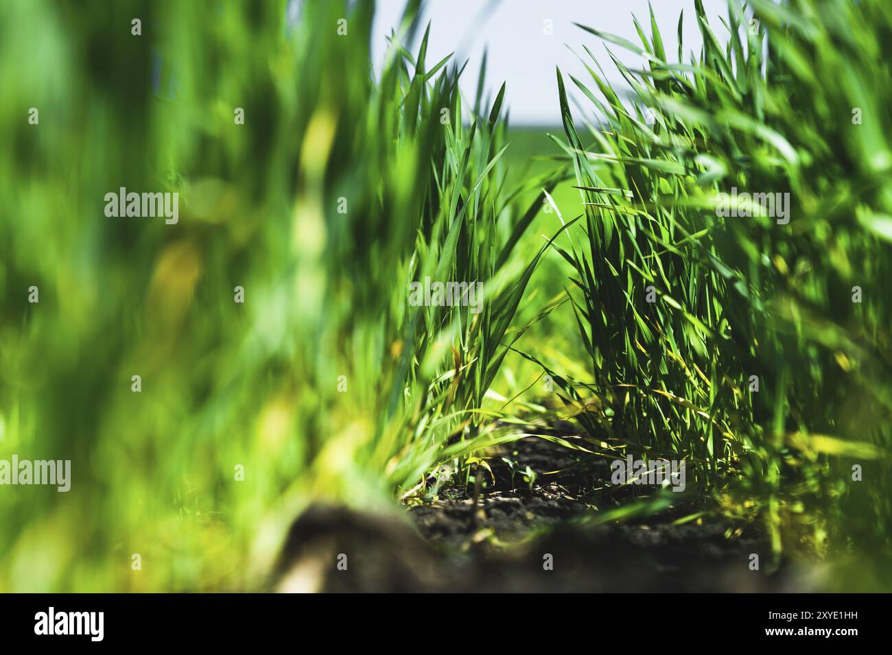 Coordinate text hi-res stock photography and images - Alamy