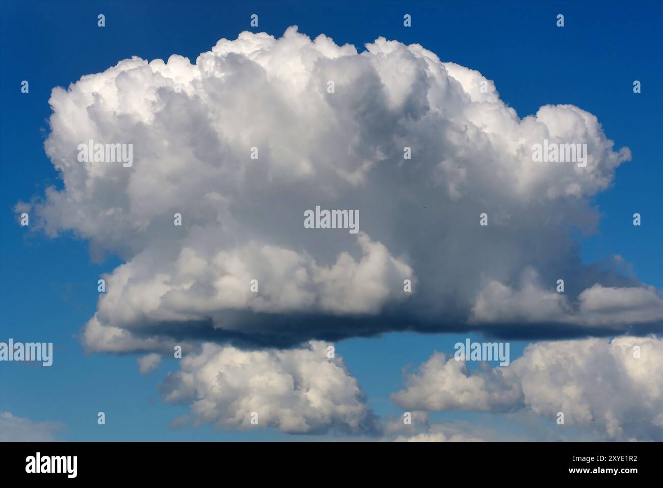 Cumulus cloud after the rain Stock Photo - Alamy