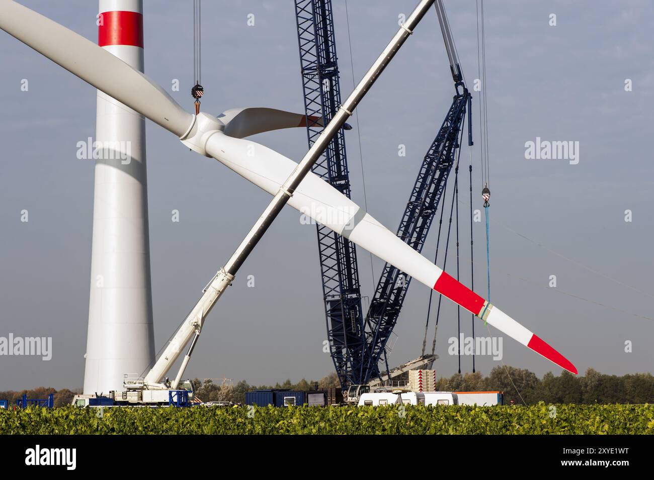 Rotor with rotor blades of a wind turbine hanging from the crane Stock ...