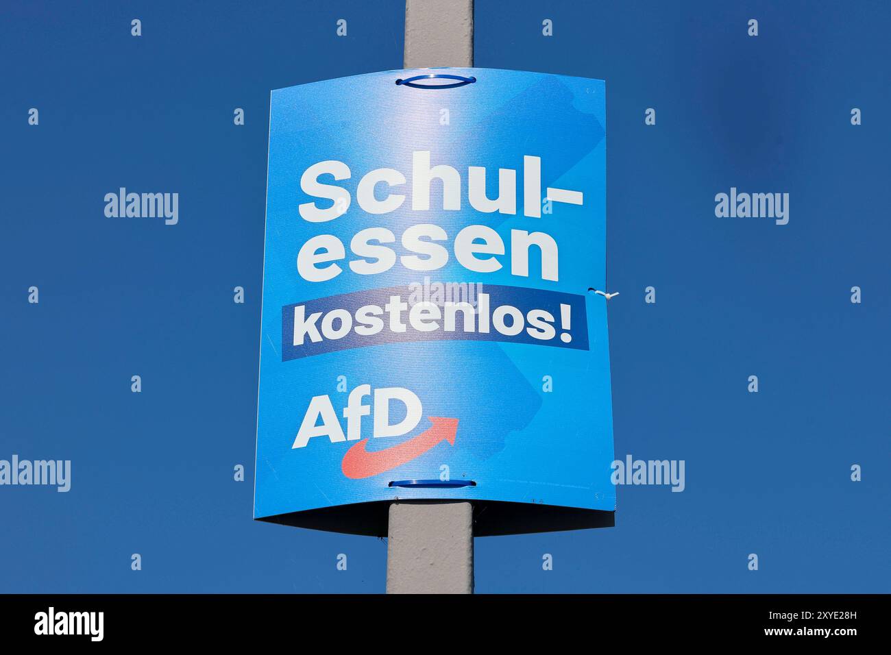 Ein Wahlplakat der Partei AfD ist an einer Strassenlaterne befestigt ...
